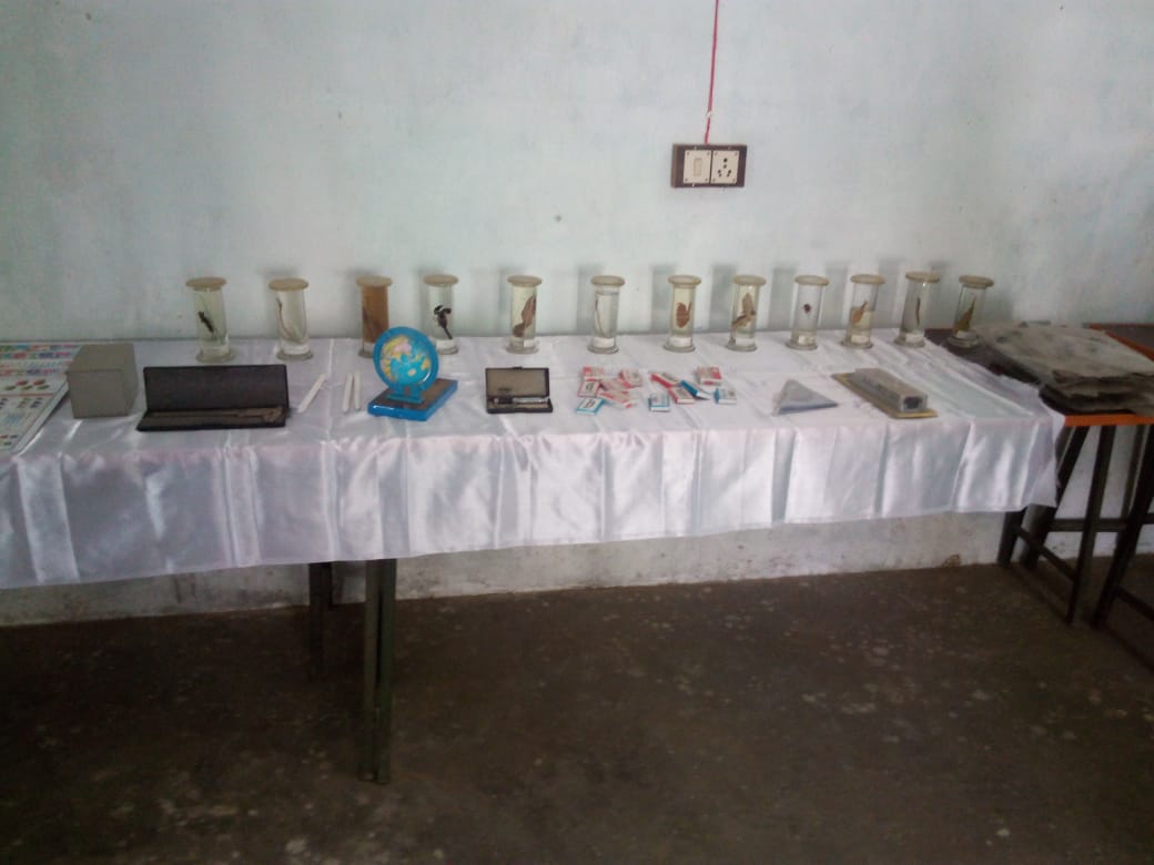 Sri Neelam Devi Mahavidyalaya, Dhaturi Tola, Bairia, Ballia